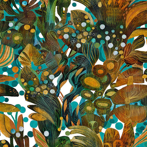 Robin Sprong Collection | Ezobord