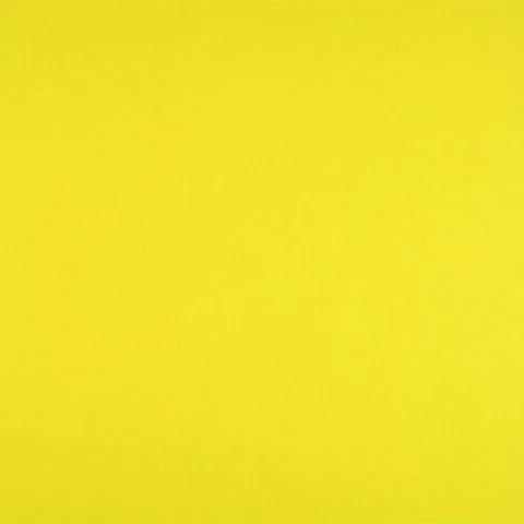 Modesty Screen — Acoustic Privacy Screen | Ezobord